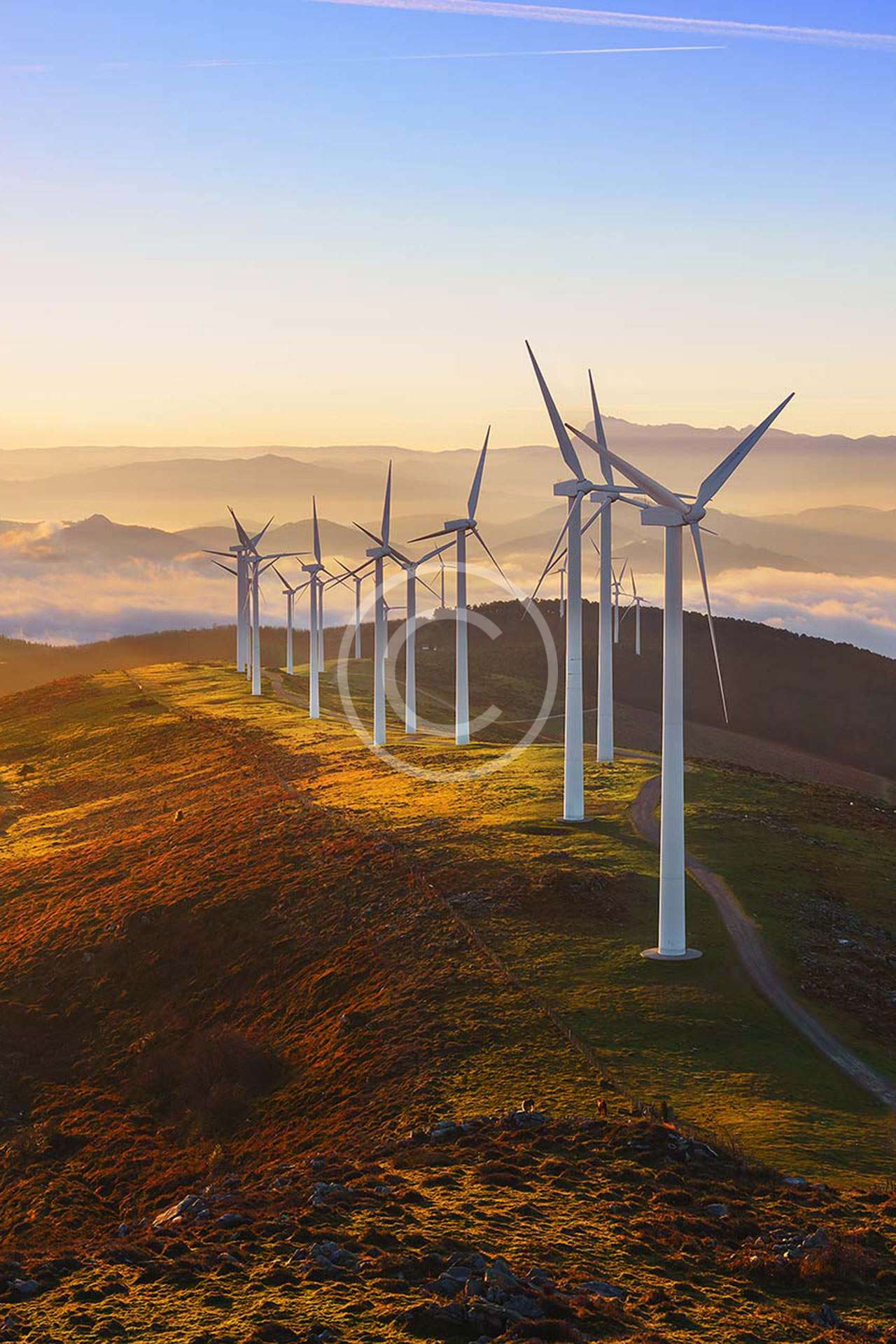 Home – Online Store – Wengyat