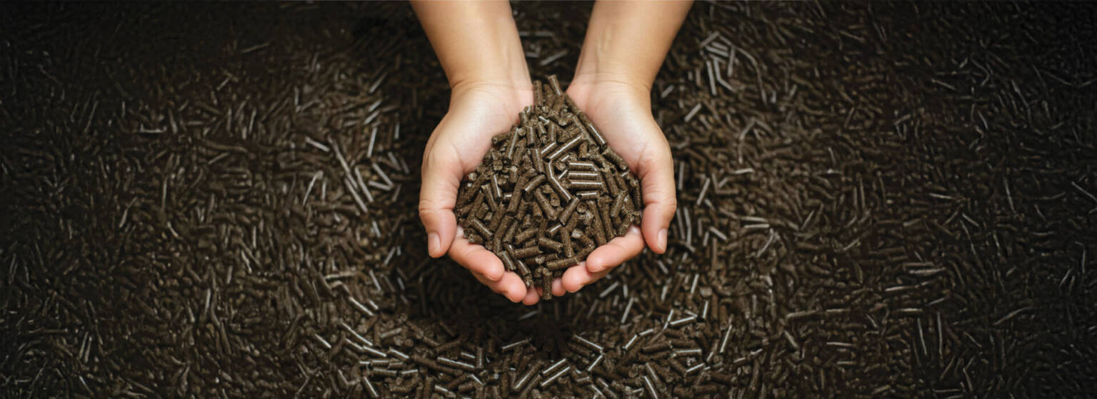 EFB Pellets – Wengyat